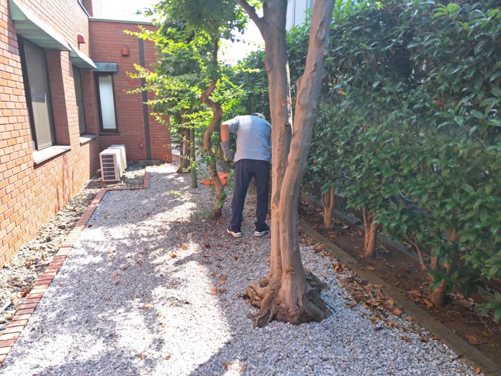 片倉記念館 清掃デー 2025.06.21 – 八王子市片倉町会のホームページ